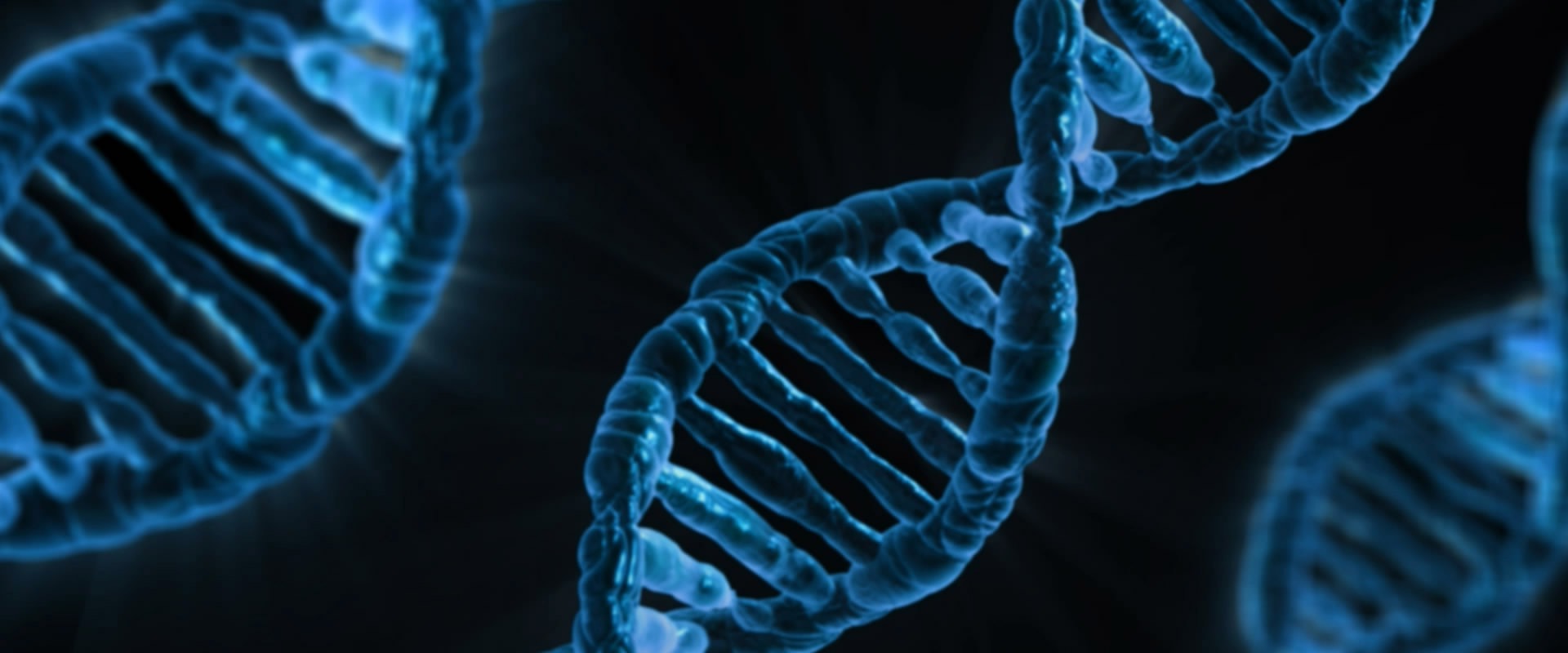 The Innocence Project: A Comprehensive Look at Forensic Science